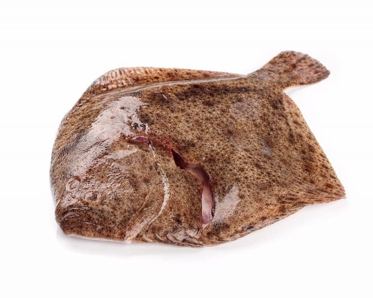 Rodaballo Salvaje | Pescado Saturnino