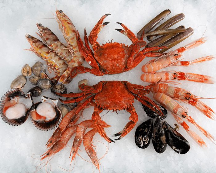 Mariscada premium para 4 personas | Pescados Saturnino